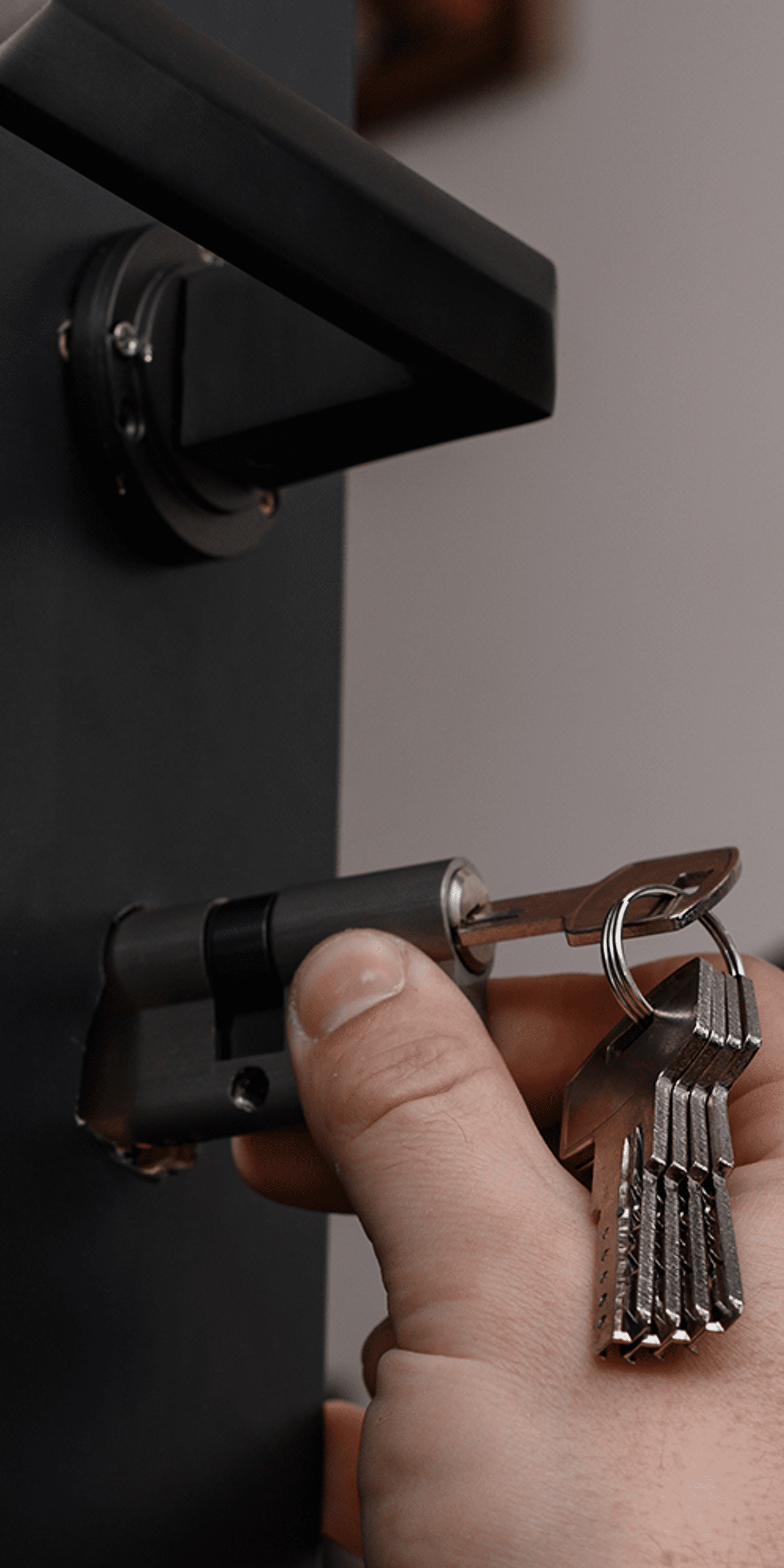 European profile cylindrical Latches: construction, types and ...
