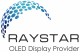 RFK1010L-AWH-LNN RAYSTAR OPTRONICS - Display: TFT | 10.1"; 1280x800 ...